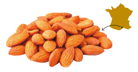 "Lauranne® Avijor" almond - Plein Jour